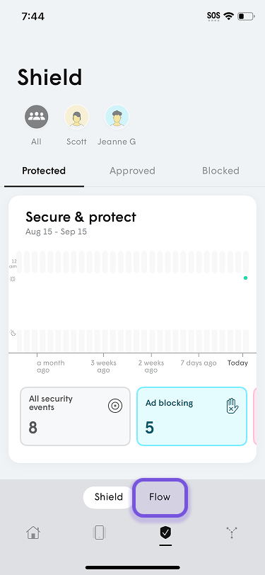 Flow Motion detection